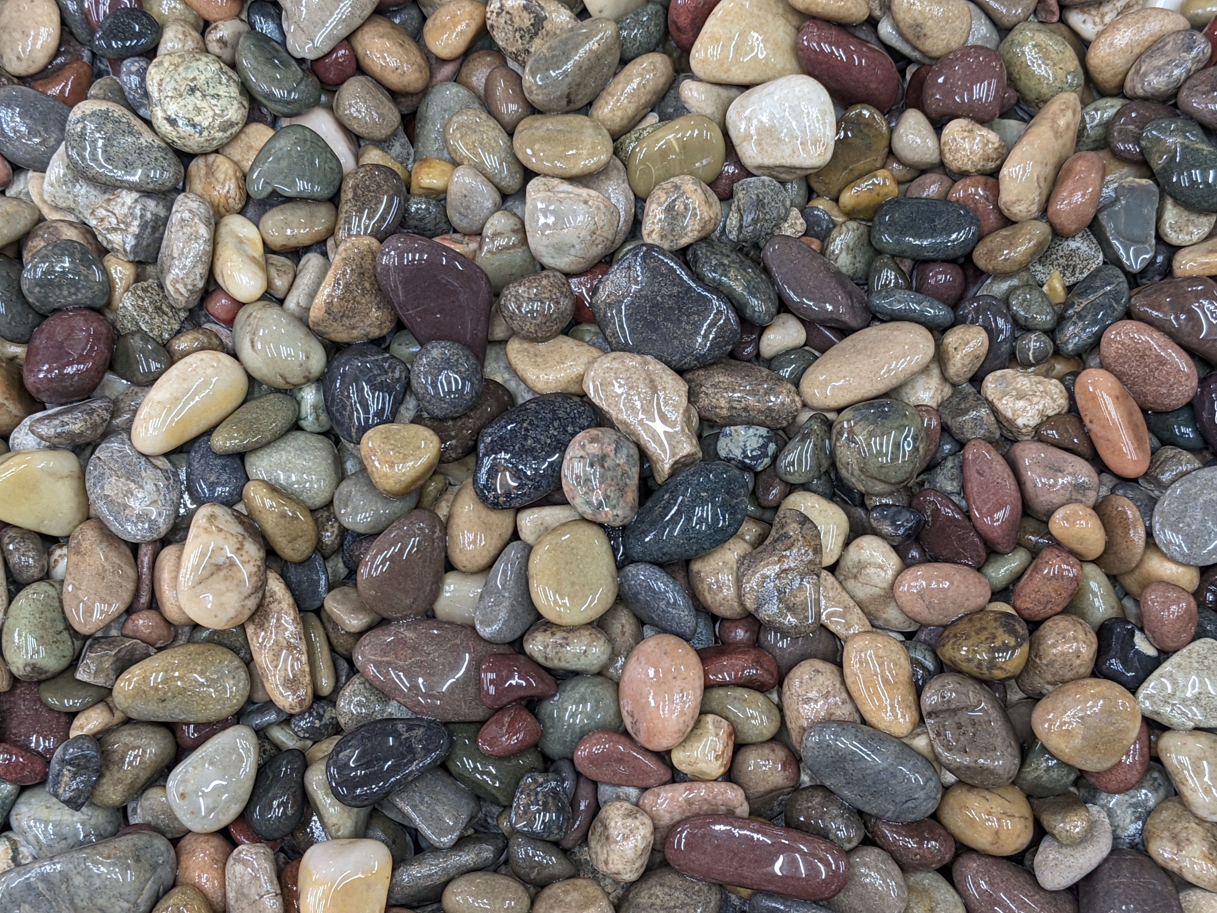 Arctic Pebbles 1-2 1 4 2023.jpg